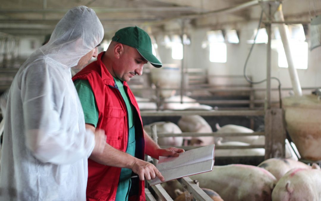 Pork Online Animal Welfare Training | FACTA LLC